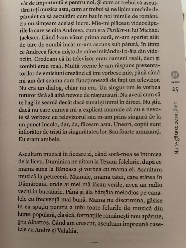 Scurtă cronică de carte. Laura Ionescu - Nu te găsesc pe nicăieri ...